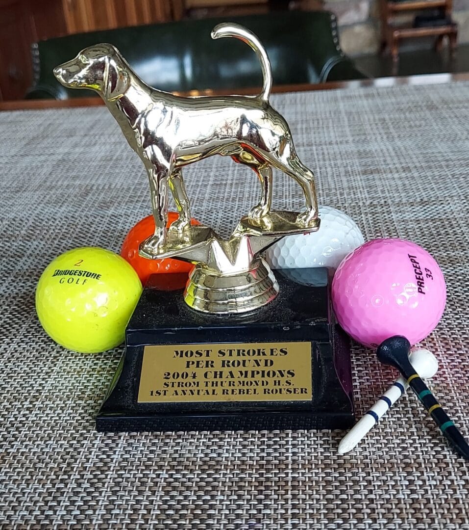 A Trophy Reminder of God's Grace - Penny L. Hunt